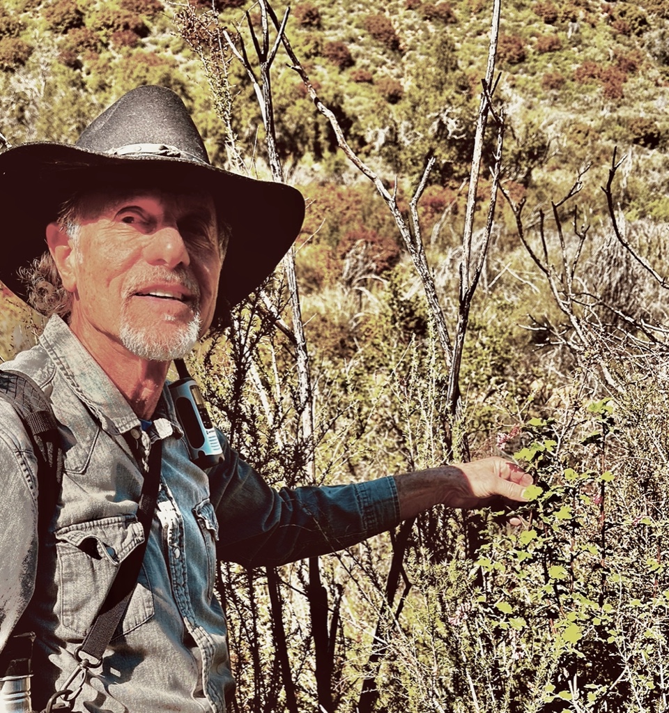 Lanny Kaufer - International Herb Symposium